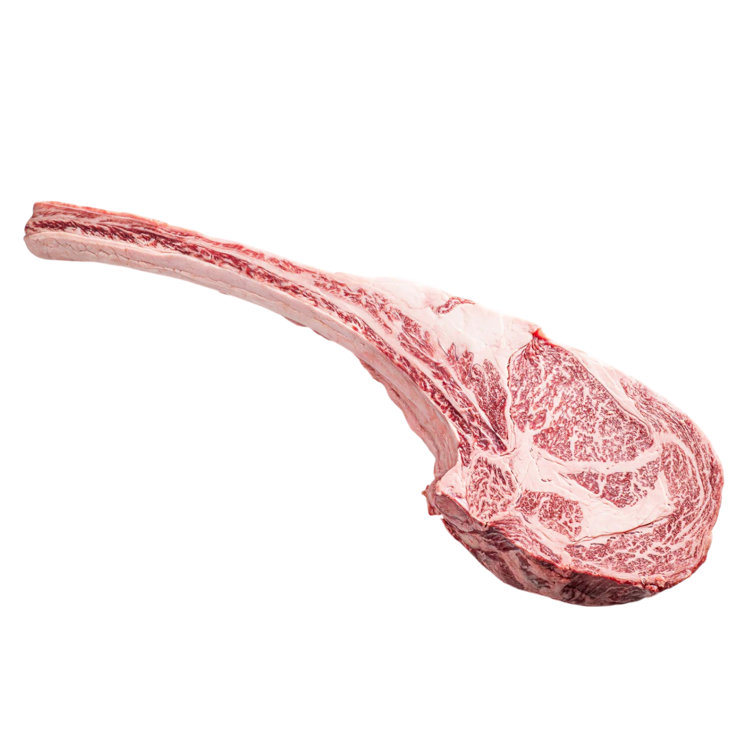 Whole Australian Wagyu 9MB Beef Tomahawk in Bulk